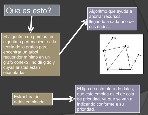 optientera y dinamica: ¿Qué es Prim?