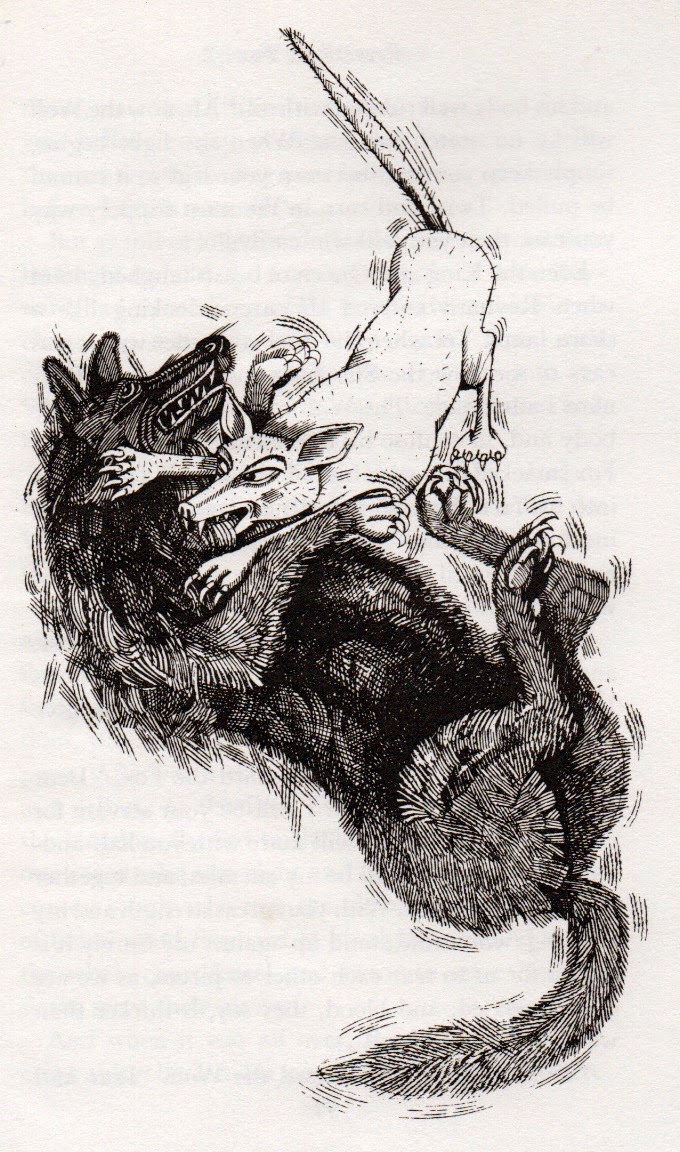 John Vernon Lord: Furless Fox (Reynard) fights the Wolf