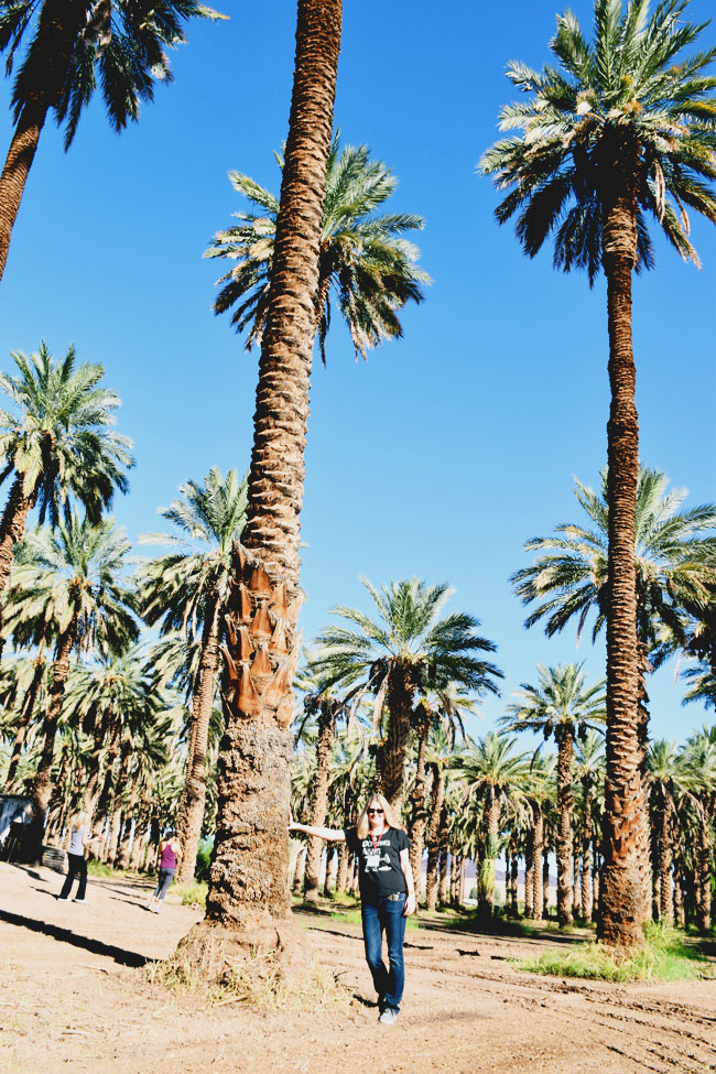 Woman in Real Life: My Trip to Bard Valley in Search of Medjool Dates ...