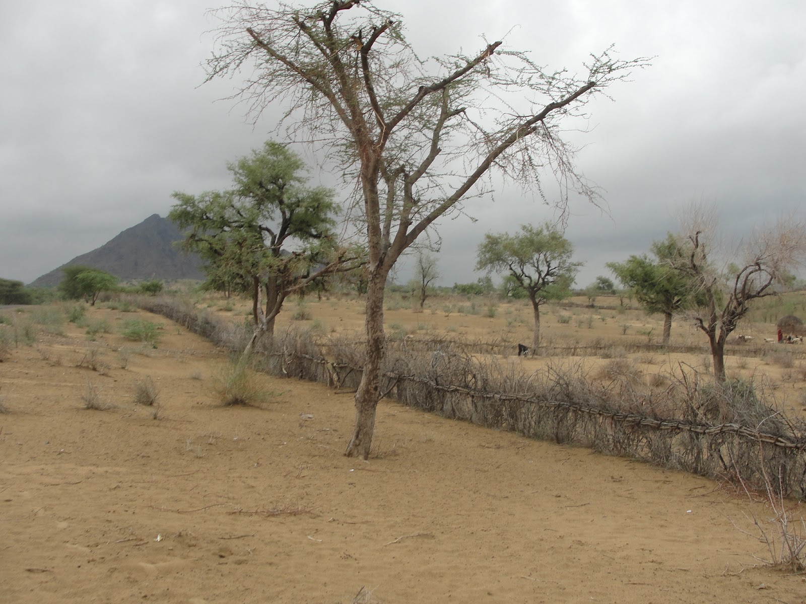 BARMERLOCATIONS: barmerlocations...mahabar village