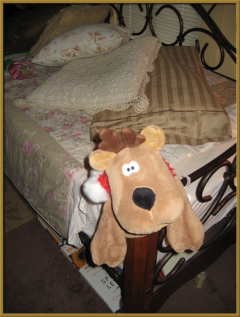 Kittling: Books: Scene of the Blog Featuring Debbie of Readerbuzz!