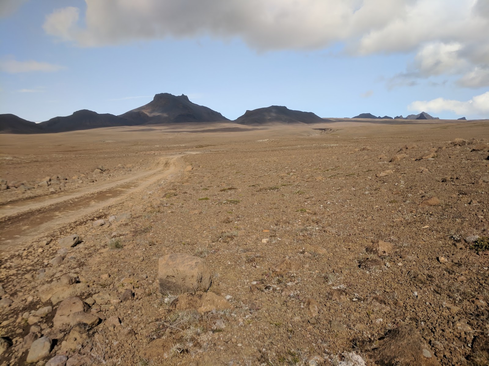 Forest-Rangeland Soil Ecology Lab: What we can learn about ecosystem ...
