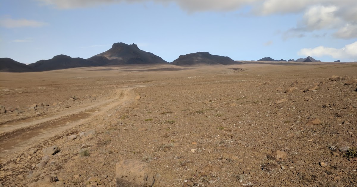 Forest-Rangeland Soil Ecology Lab: What we can learn about ecosystem ...