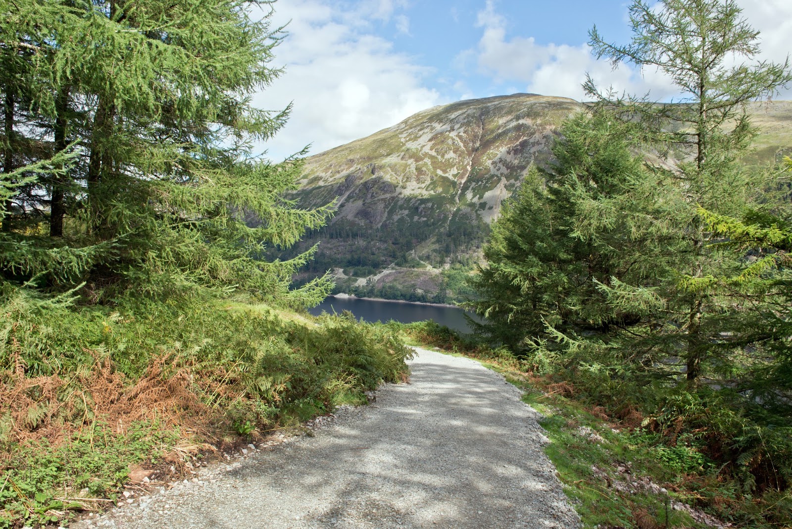 Wigtwizzle - Norman Smith's Travel Blog.: Harrop Tarn and Thirlmere