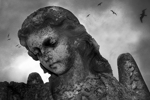 Fringe Dweller: The Importance of Setting & Imagery for Stone Angels