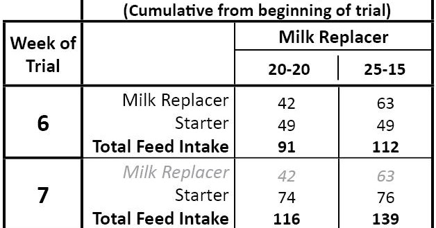 Calf Sessions: Calf Starter -- big impact on calf growth