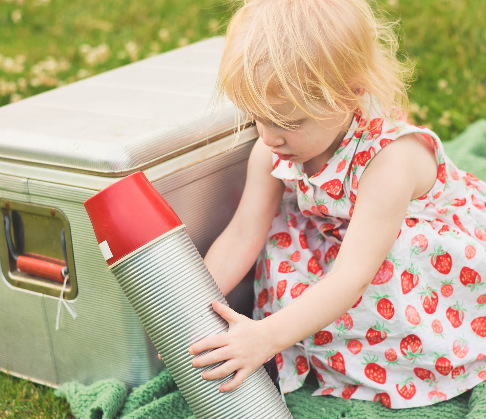 The Classy Junk: Strawberry Jam | Picnic Pretties Mood Board