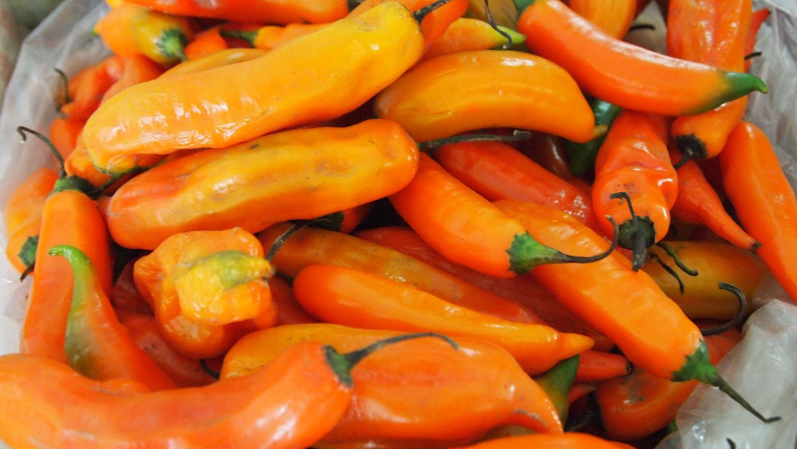 Dolly's Recipes N' more: Pimientos, Ajies, Chiles o Morrones.....