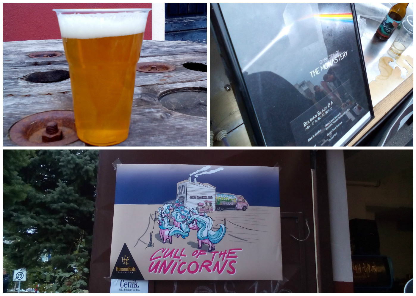 PivoMan: Fish Homebrew&Q Fest - Vrhnika, 8.10.2016