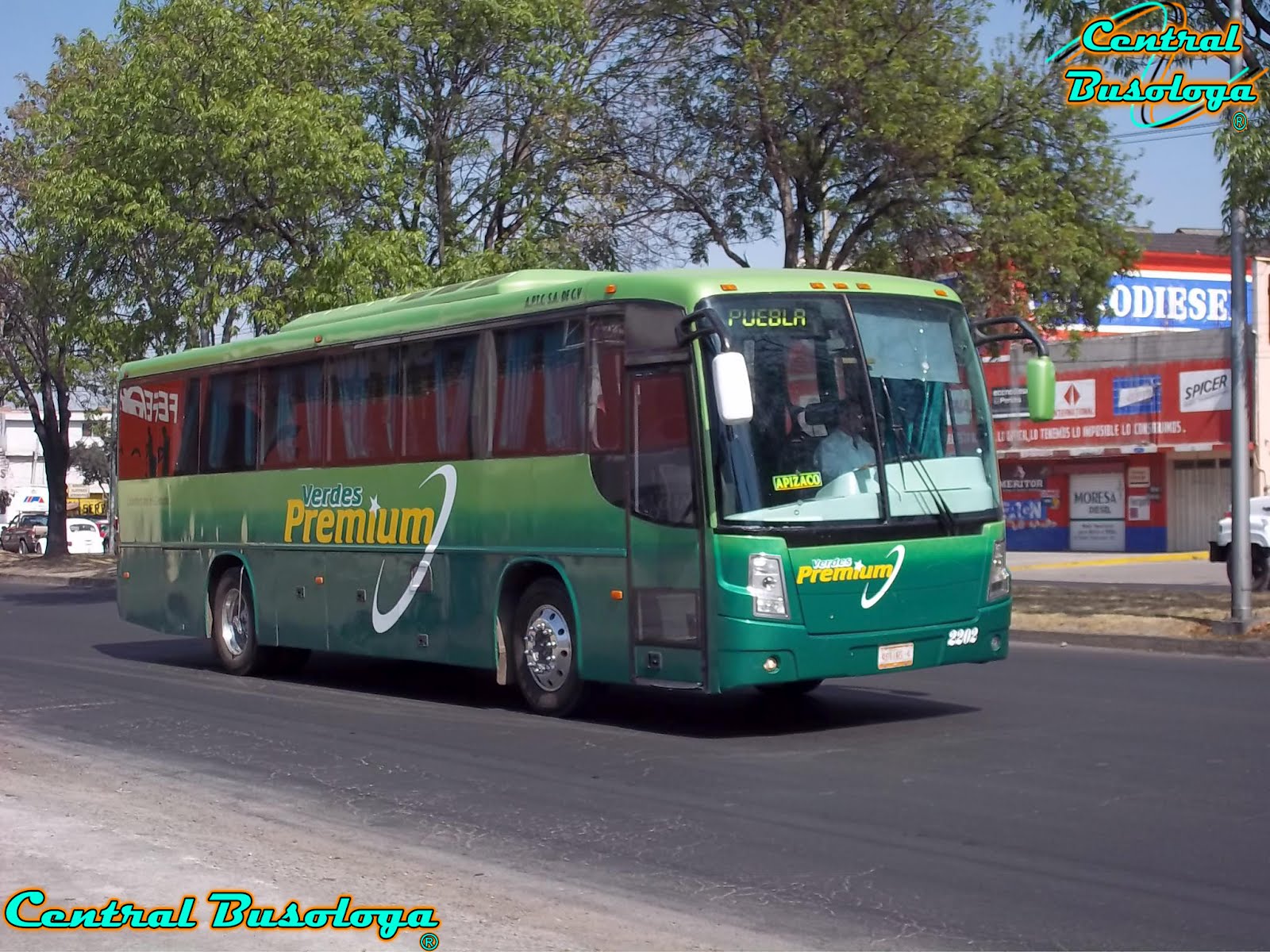 o.OCentral BusologaO.o°•: Verdes Premium.