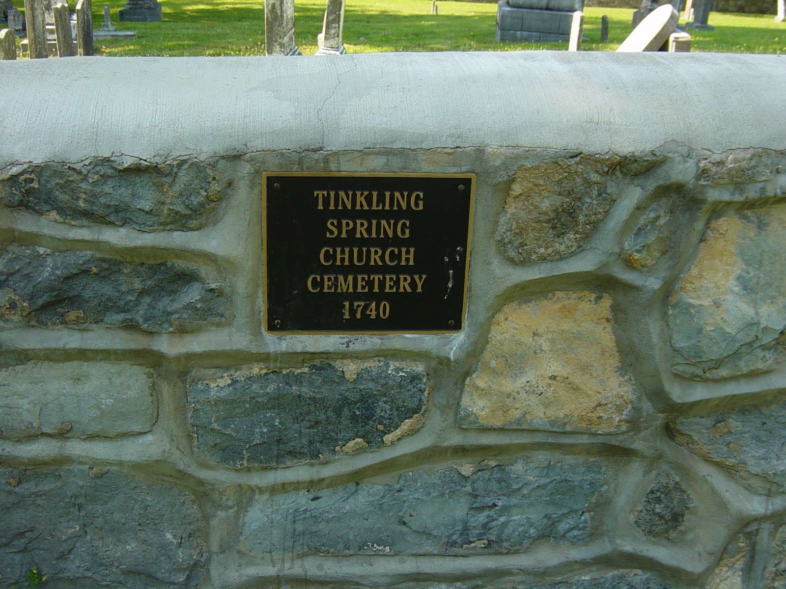 Trees, Leaves, Roots, & Shoots