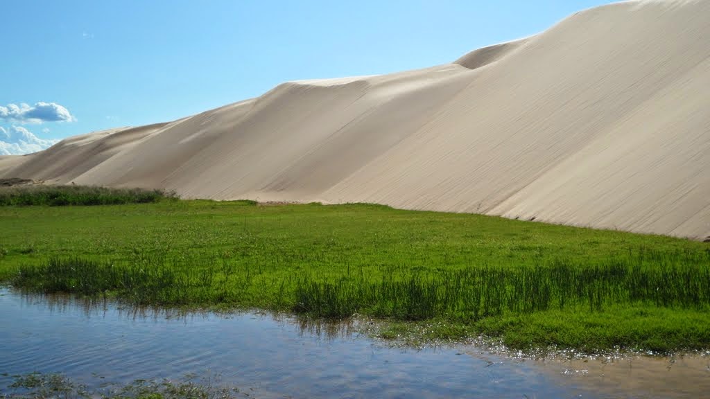 Parque Regional Lomas de Arena, contrastando con su entorno verde