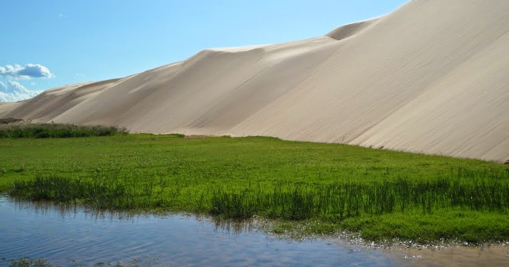 Parque Regional Lomas de Arena, contrastando con su entorno verde