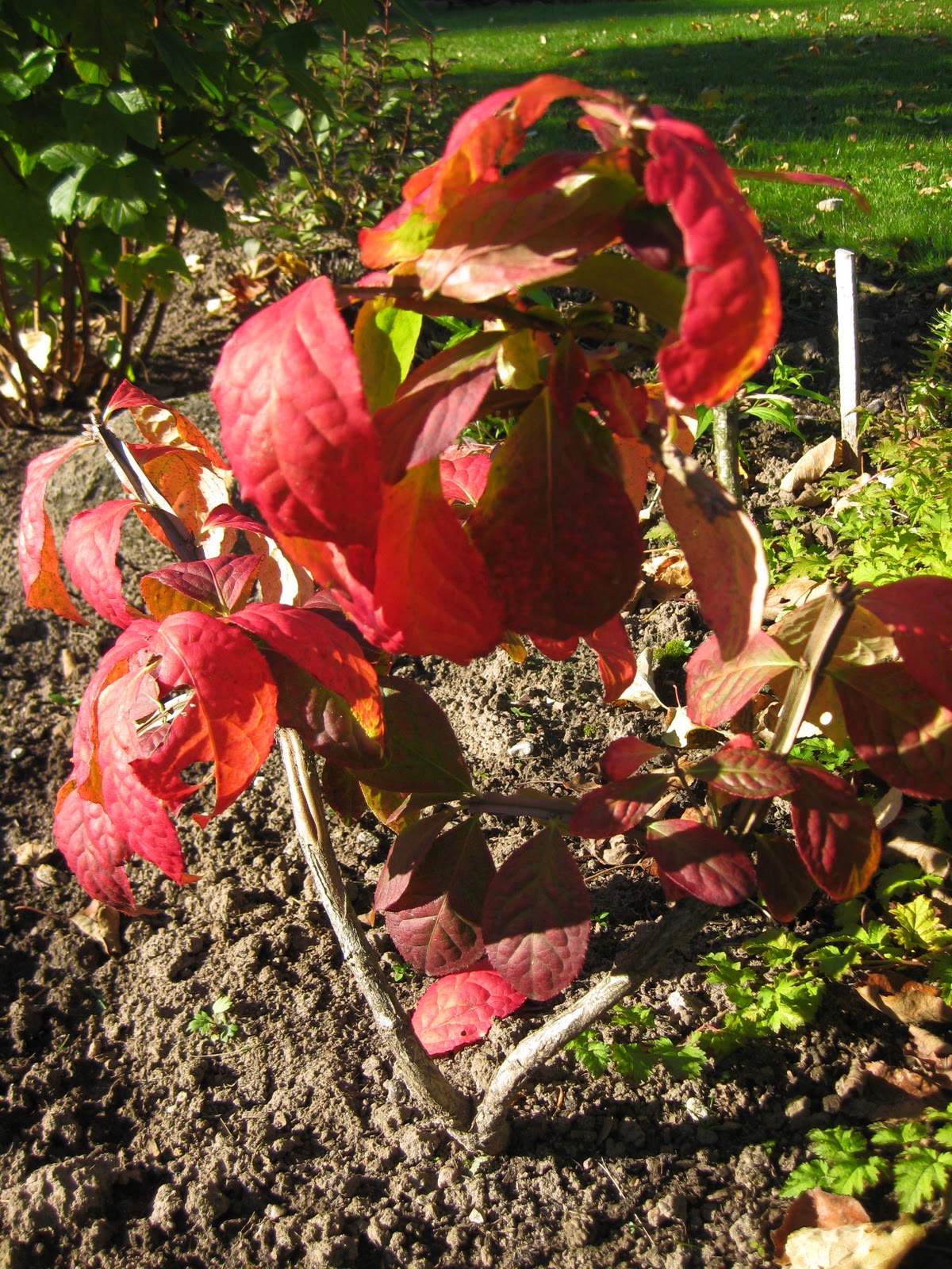 Elu aias: 7. oktoober