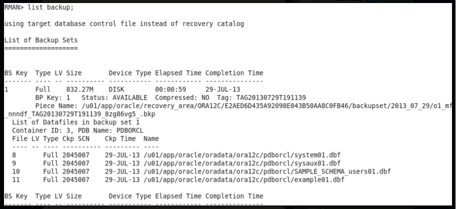 Insights and Strategies for DBA: Backup Pluggable Databases