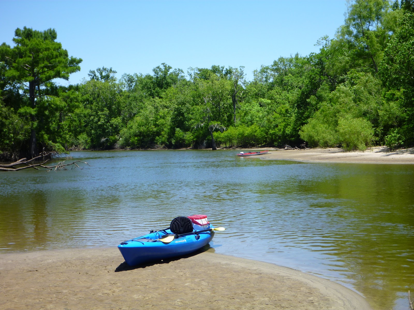 Nature's heart: Memories of Spring on Picketts Bayou