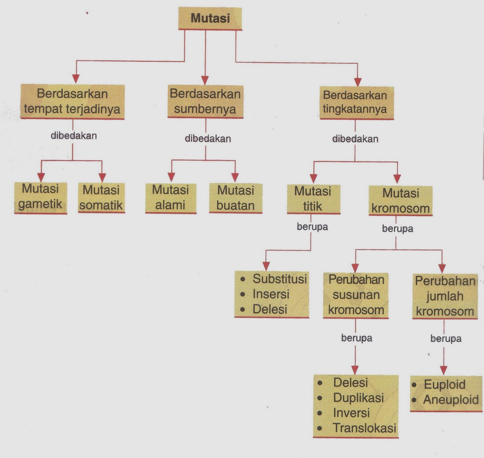 Pengertian dan Penyebab mutasi - Bahasapedia