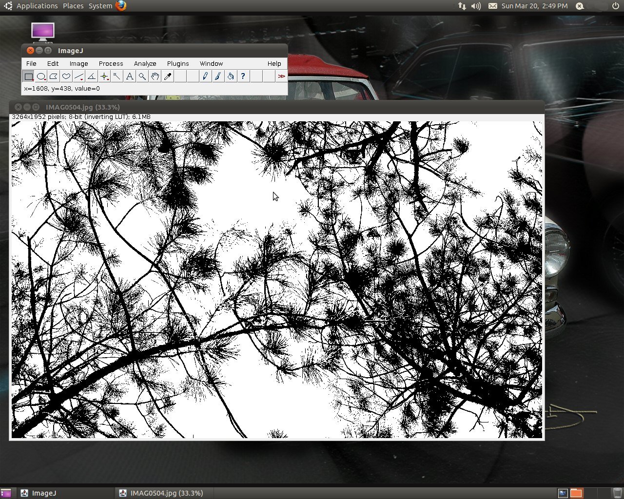 The Ecological Forester: Canopy Closure from Digital Photos Using ImageJ