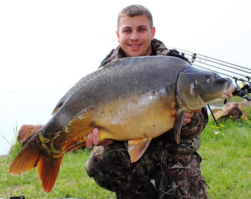 All This Is That: Eat carp, America