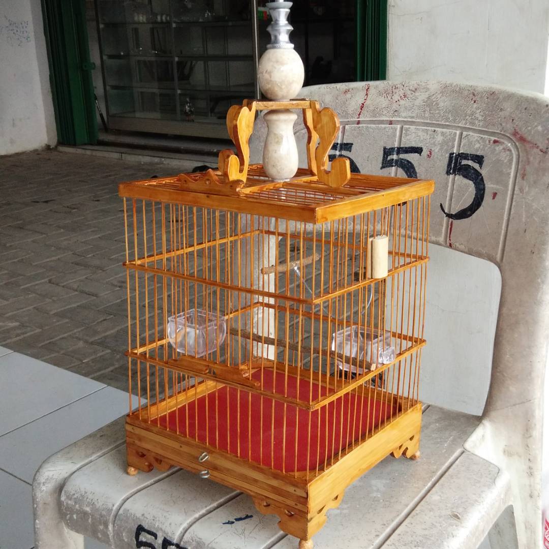 Jual Sangkar Pleci Jati Ukir Jepara Untuk Lomba, Cungkok dan Kotak ...