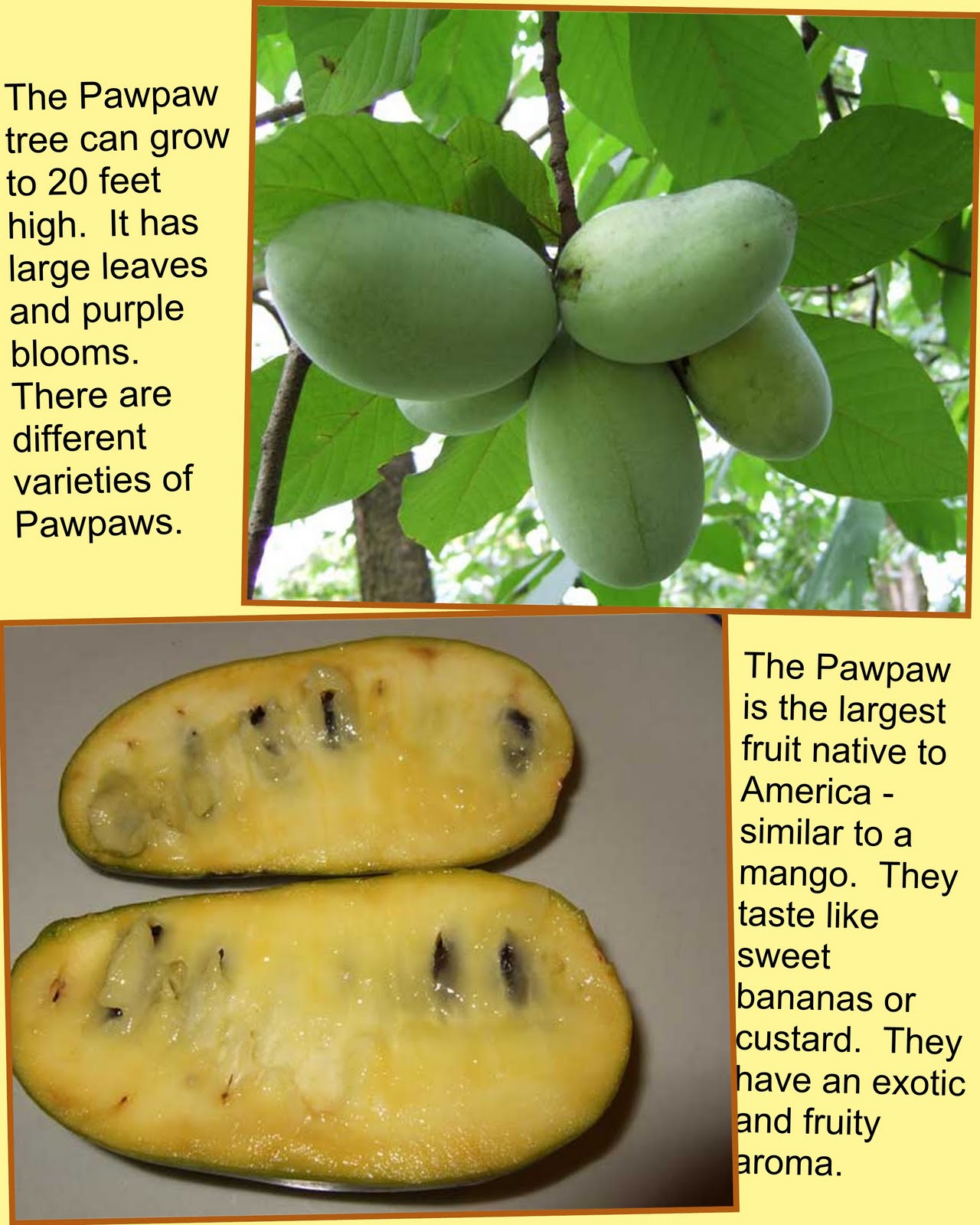 Recollections of a Vagabonde: Trail Dedication at the Ulcofauhatchee River