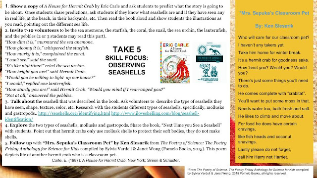 Poetry for Children: Science + Poetry = Observing seashells