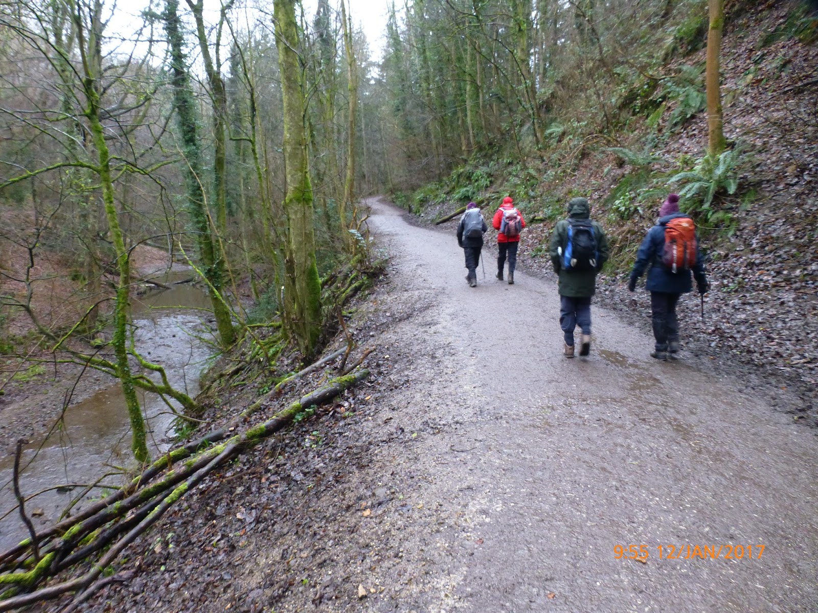 Harris Hikers: Wepre Park, Aston Hill, Ewloe and Northop Hall 12th ...
