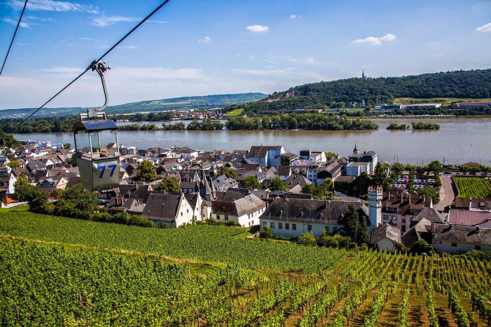 My Musings: Rudesheim