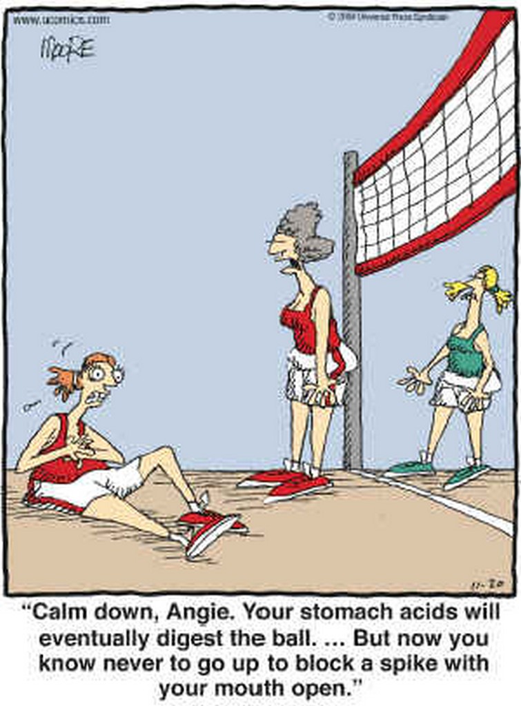 Chucks Fun Page 2 Assorted Cartoons