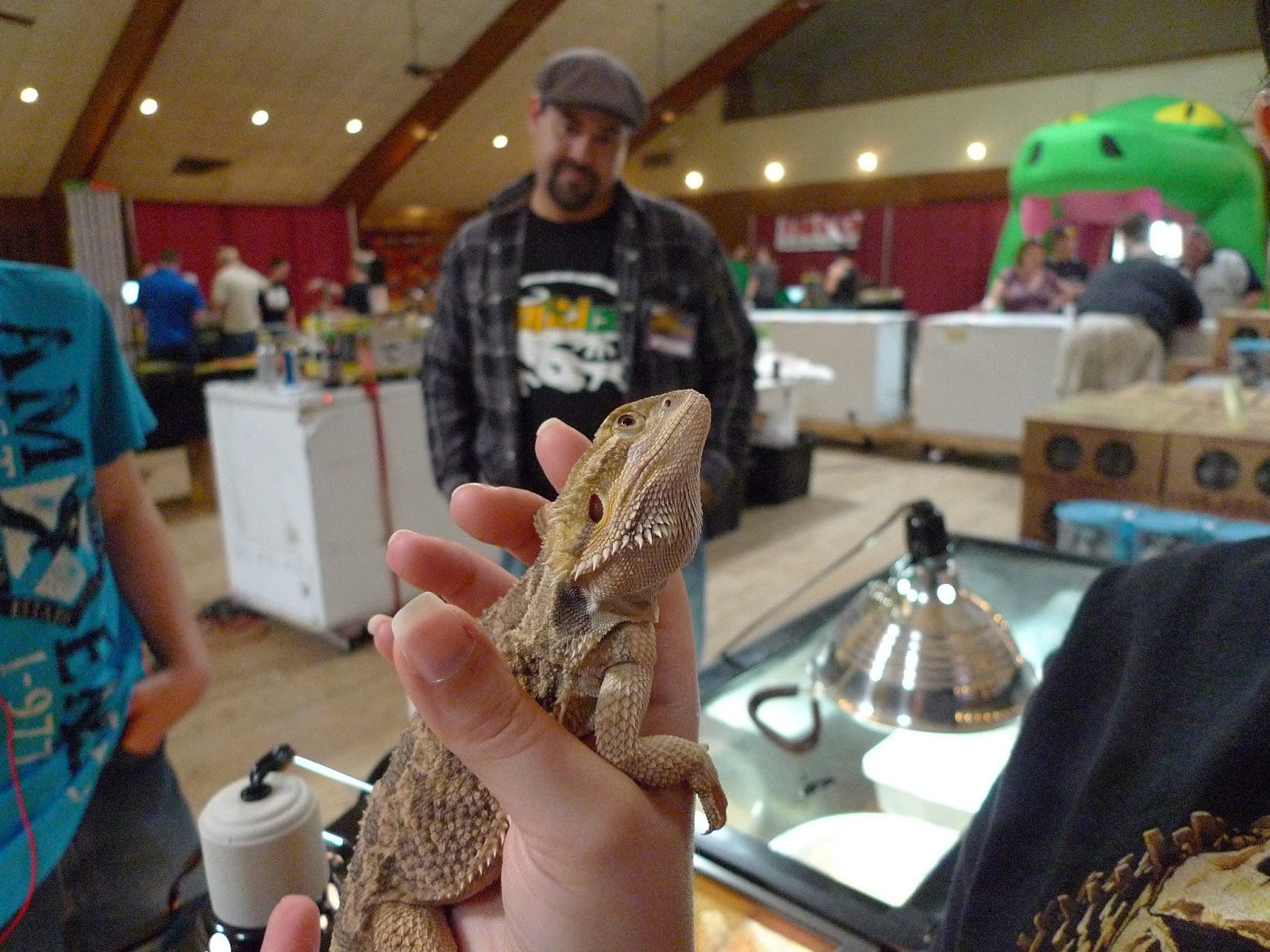 Paraherpetology: Repticon Dallas, Part 7: The Texas Reptile Exchange