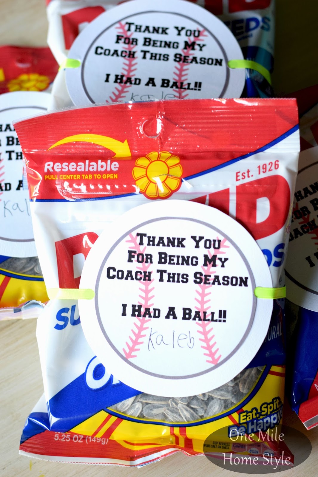 End of the Baseball Season Coach's Gift