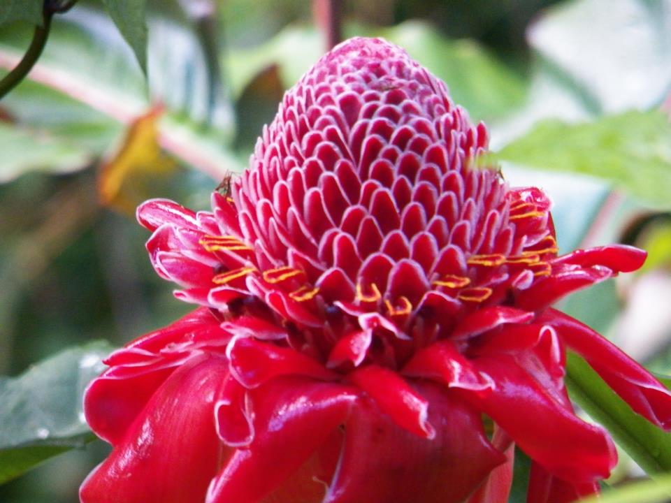 Fashion and Photos in the World of One Redhead!: Spectacular Hawaii ...