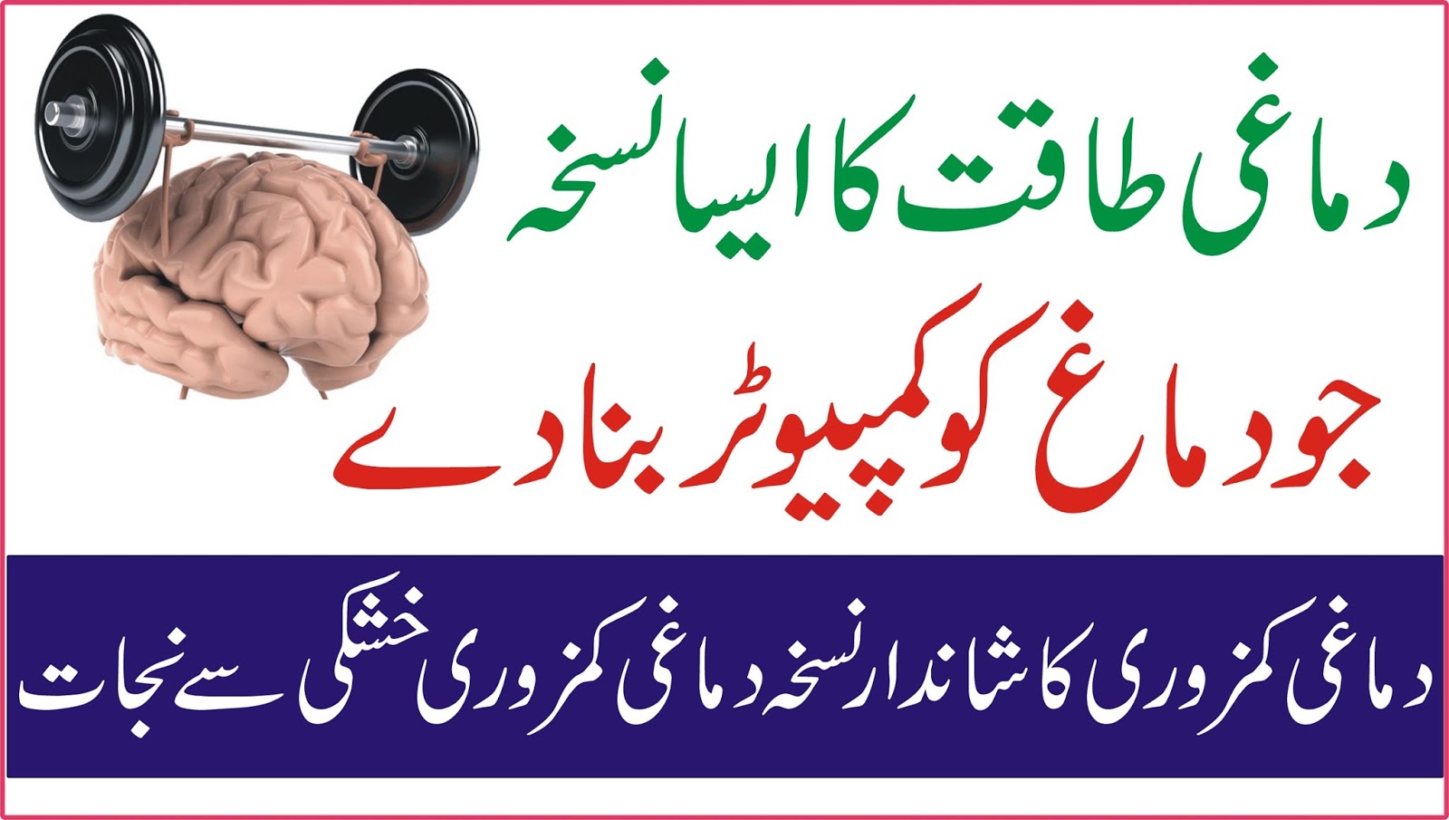Dimaghi Kamzori Ka Ilaj In Urdu How To Increase Your Brain Power In dimaghi-kamzori-ka-ilaj-in-urdu-how-to-increase-your-brain-power-in