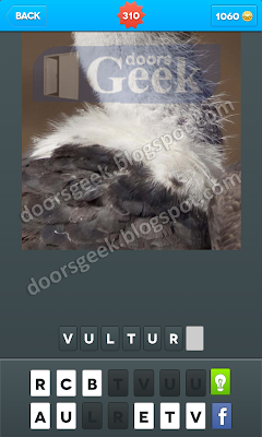 Zoomed In - Photo Word Game Level 310 ~ Doors Geek