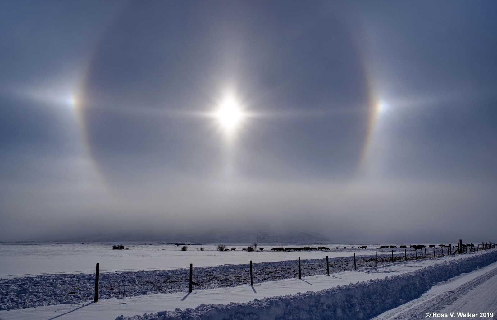 Ross Walker photography: Sun Dog