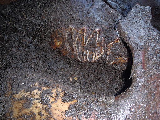 McGill Archaeological Field Methods Course: Digging down through the ...