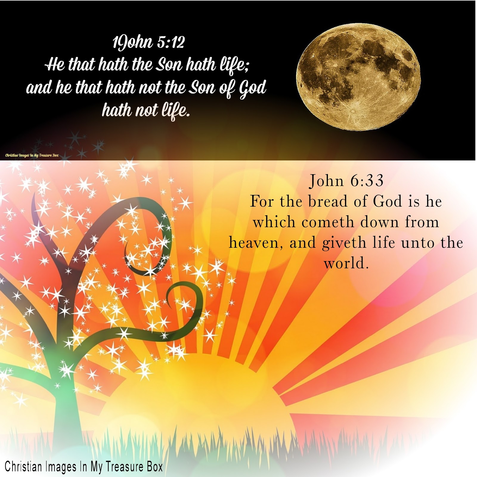 Life - 1 John 5:12 - John 6:33