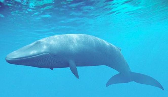 Our World Our Treasure