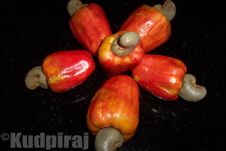 Kudpiraj's Garam Tawa: Seasonal Fruits from Private Lands