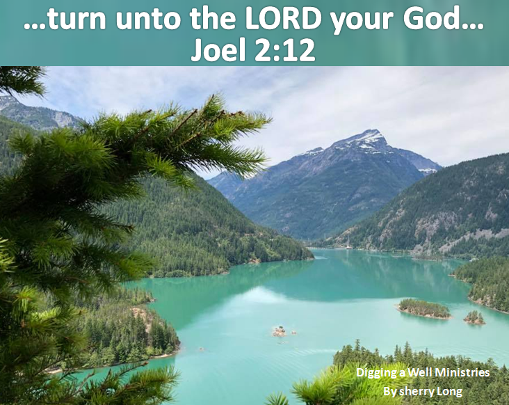 Digging a Well Ministries: TURN UNTO THE LORD YOUR GOD