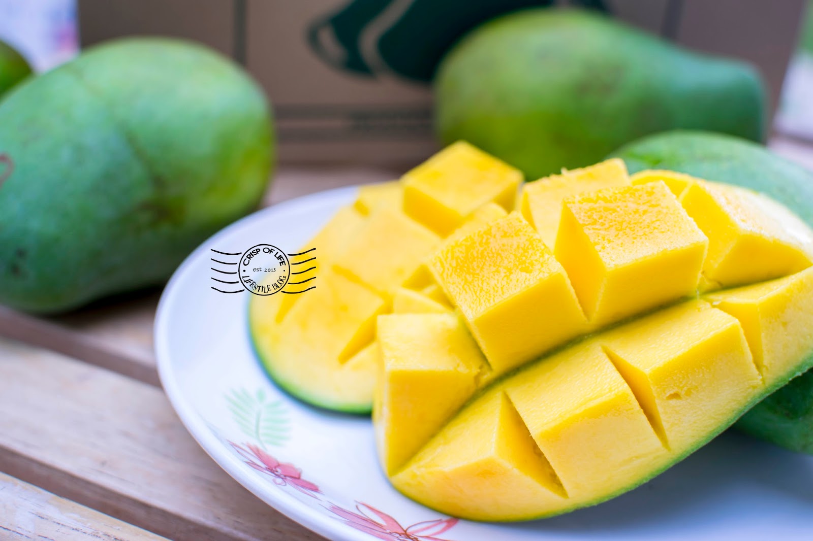 Harumanis Perlis - Crisp of Life - Penang Food & Travel Blogger