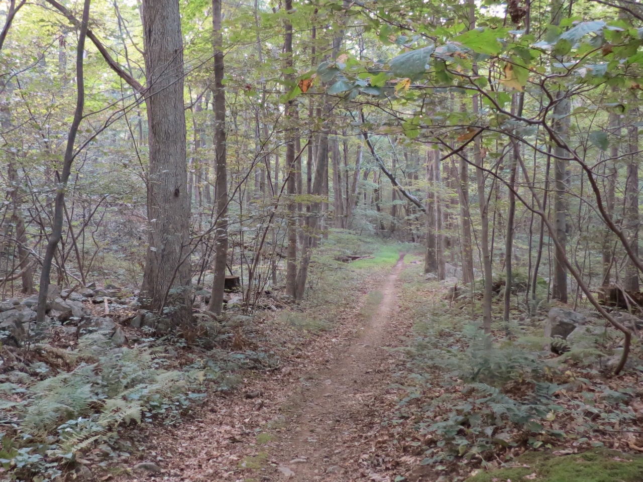 Gone Hikin': Weldon Brook Wildlife Management Area, NJ - Yellow Beer Trail