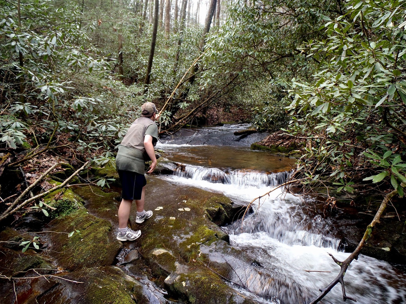 Angler Management: Wild Trout Primer