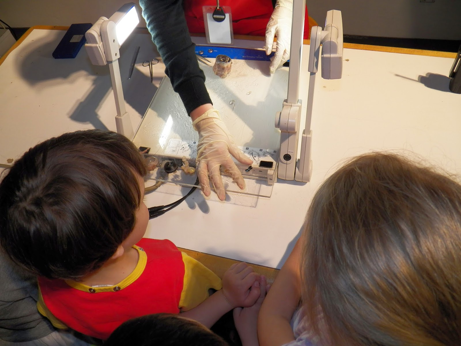 Motivated Parent - Successful Child: What’s Response to Intervention ...