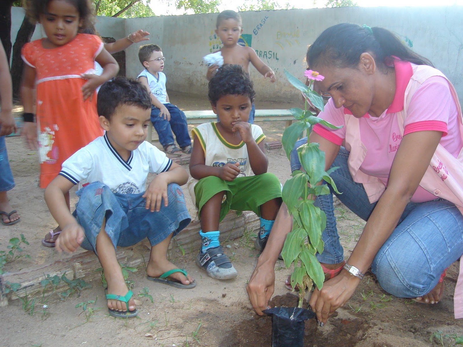 Creche Profª Maria Gláucia - Educação Infantil: Mini projeto:dia da árvore