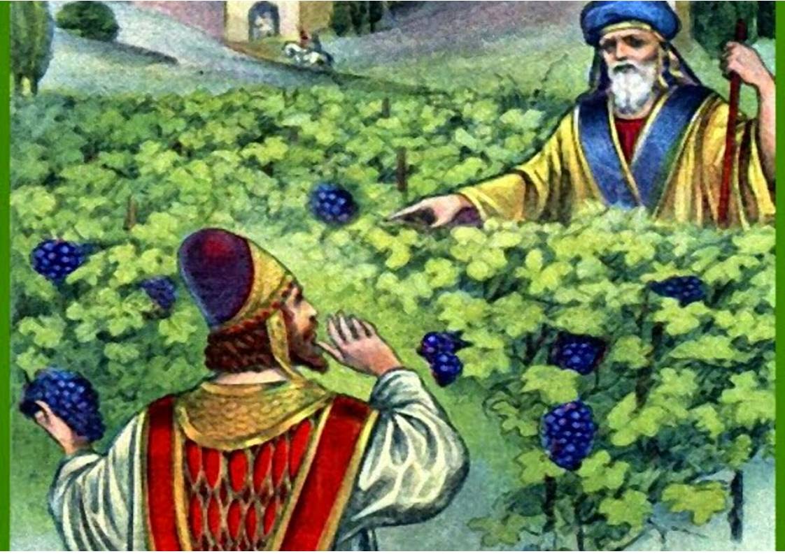 Missionária Rosangela Feitosa: Lição 3:Ápice da inveja: Vinha de Nabote