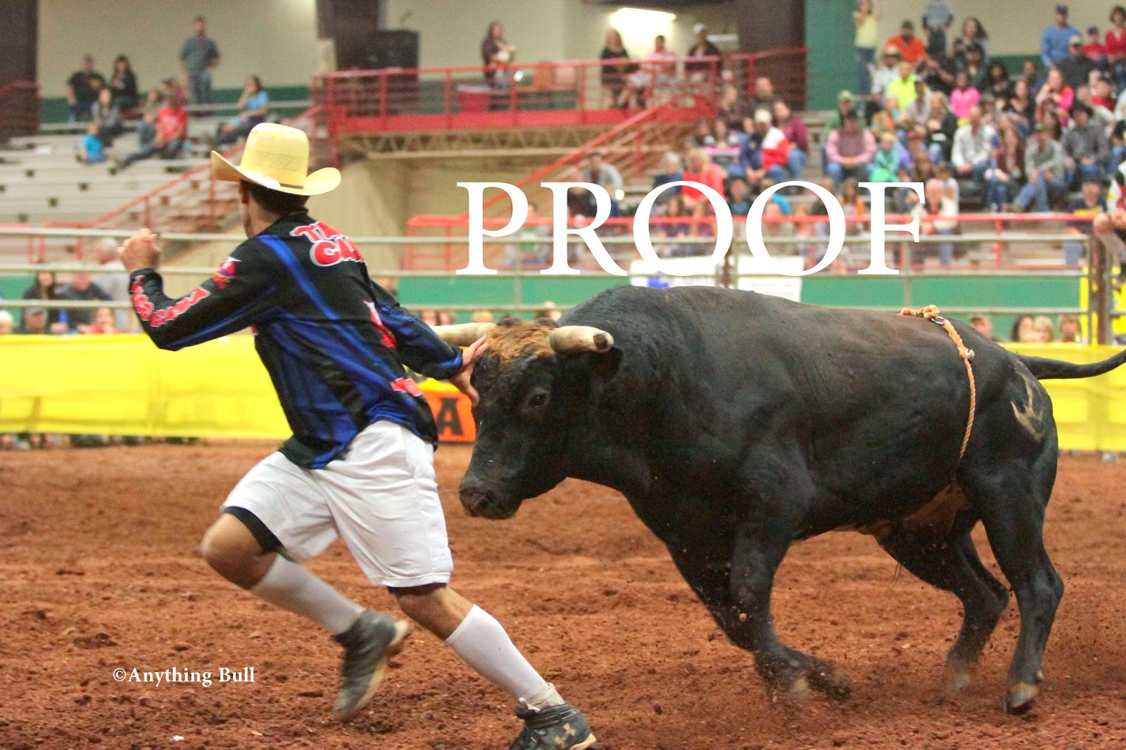 Anything Bull or Rusty: Final short round - Zach Flatt - Score 88 ...