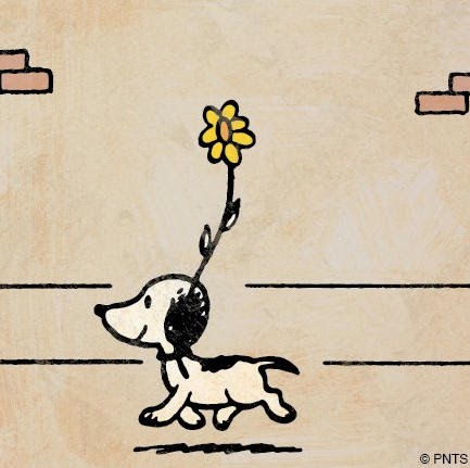 Awakenings: Snoopy Dance