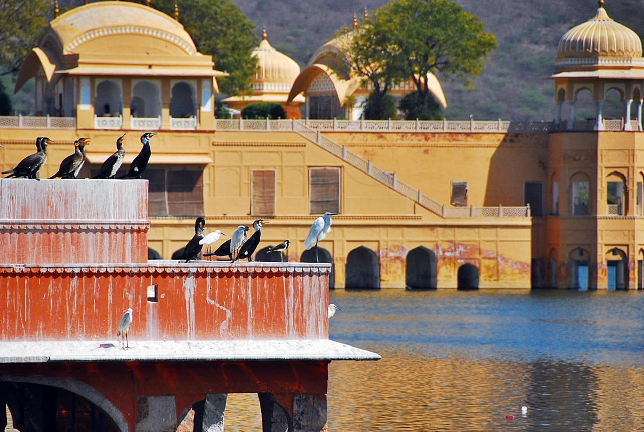 Jaipur, India | Man Sagar Lake’s 'Floating' Jal Mahal Palace - Nomadic ...