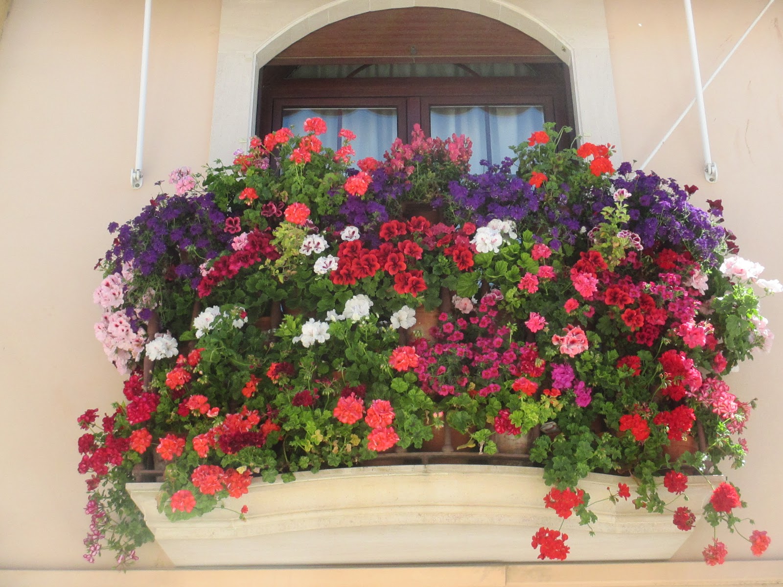 Basket Fernán Núñez Información: REJAS, BALCONES, FLORES...., FERNAN NUÑEZ.